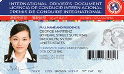 International Driver Licenses - International License