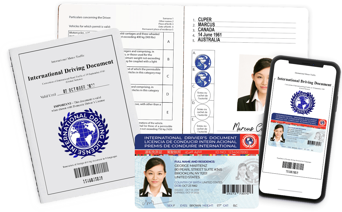Terms and Conditions - International License